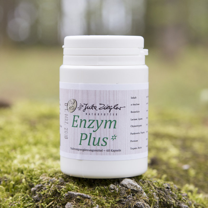 Enzyme plus - Regalyn Enzyme plus